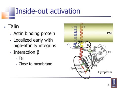 Ppt Cell Environment Interaction Inside Out Powerpoint Presentation