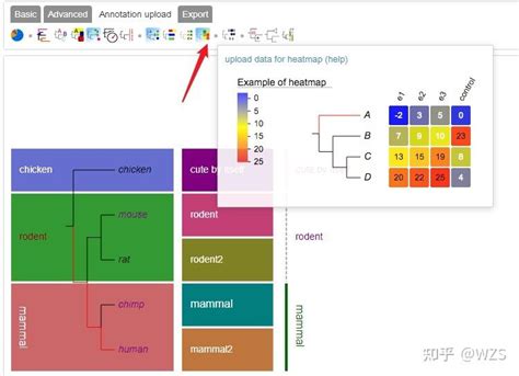 进化树美化——evolview基本命令速查与教程 哔哩哔哩