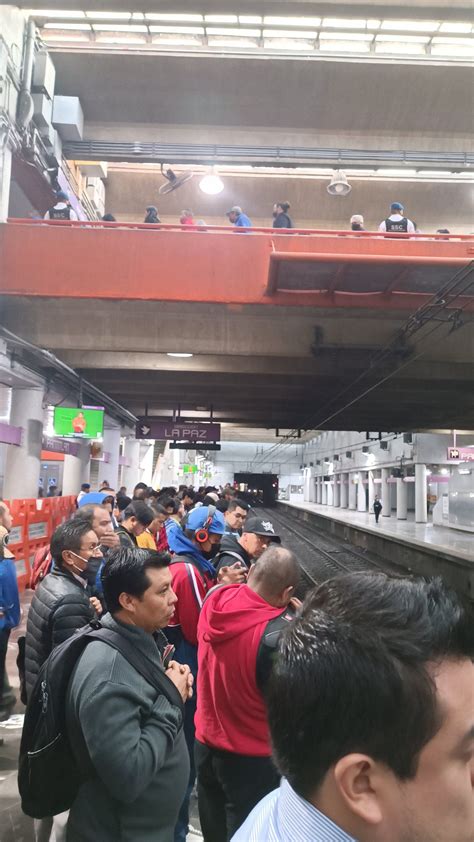 Metro CDMX hoy de mayo Apareció un cacomixtle en las vías de la Línea Infobae