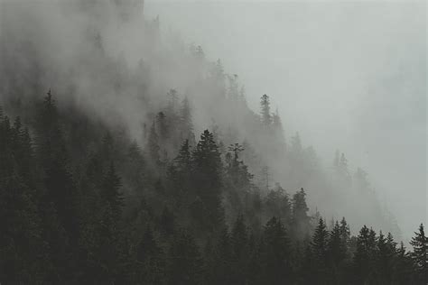 Mist Wallpaper