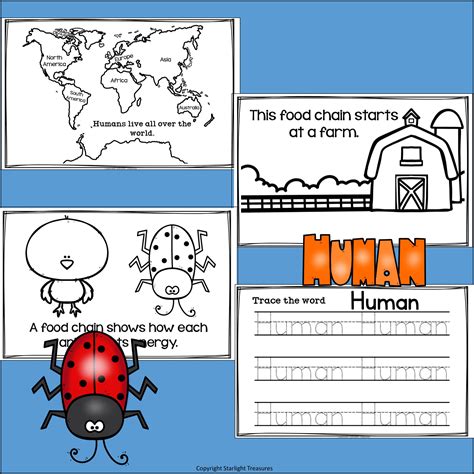 Human Food Chain Mini Book For Early Readers Food Chains Classful