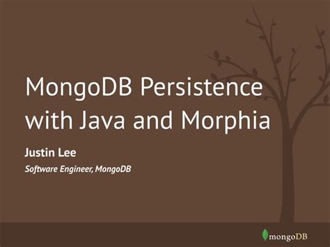 Webinar Mongodb Persistence With Java And Morphia Ppt