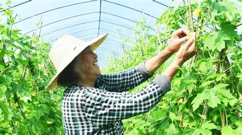 公告·通知 建德新闻网