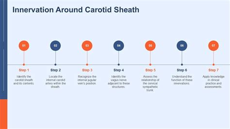 Carotid Sheath Internal Carotid Menomnic Ppt Example Acp Ppt Template