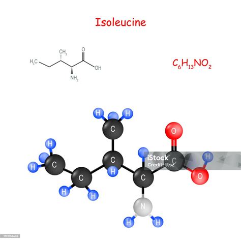 Amino Acid Structural Formula