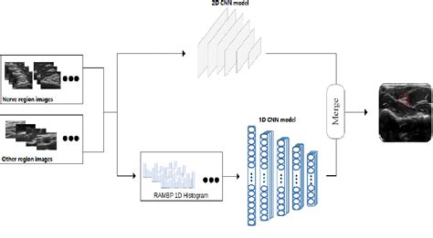 Figure From Merged D D Deep Convolutional Neural Networks For Nerve
