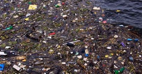 La isla basura que flota en Pacífico será del tamaño de un continente