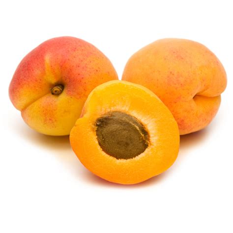 Apricot Pictures
