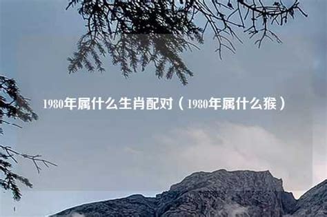 1980年属什么生肖配对（1980年属什么猴） 思特网