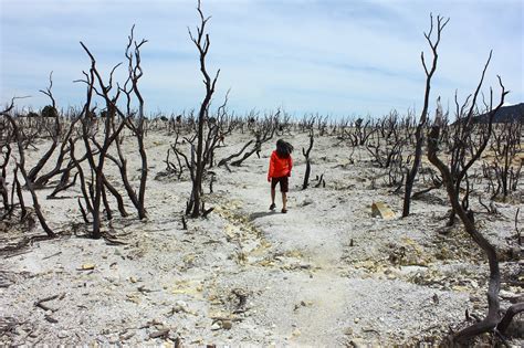 Gambar Kerusakan Hutan Gambar Gratis Pixabay Jurang Pohon Lereng Tandus