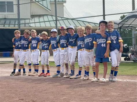 2018 Force Baseball Added A New 2018 Force Baseball