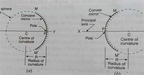 Mirror Formula Class 10 Science Concave Mirror Convex Mirror