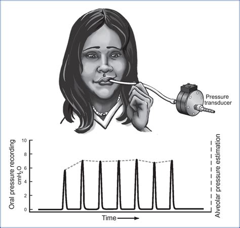 Speech Physiology Measurement And Analysis Ento Key