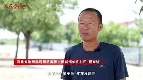 【大国新村：沿着总书记的足迹】微视频 盐碱地上的“新粮仓”凤凰网资讯凤凰网