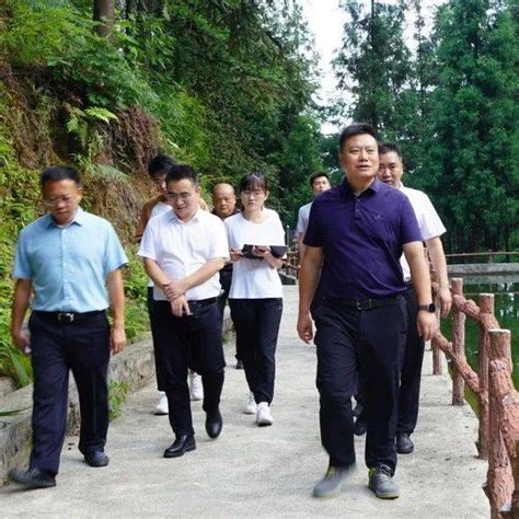 石进开展森林防灭火暨防汛抗旱“实心干事 科学作为”专题调研白花村工作供水点