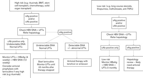 Algorithm For Prevention Of Hbv Reactivation In Patients Undergoing