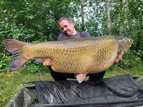 Nouveau Record Du Monde Une Carpe Amour Blanc De 1m37 Et 40 5Kg