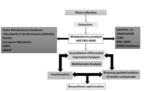 A Flowchart Showing The Application Of Metabolomics In Dereplication