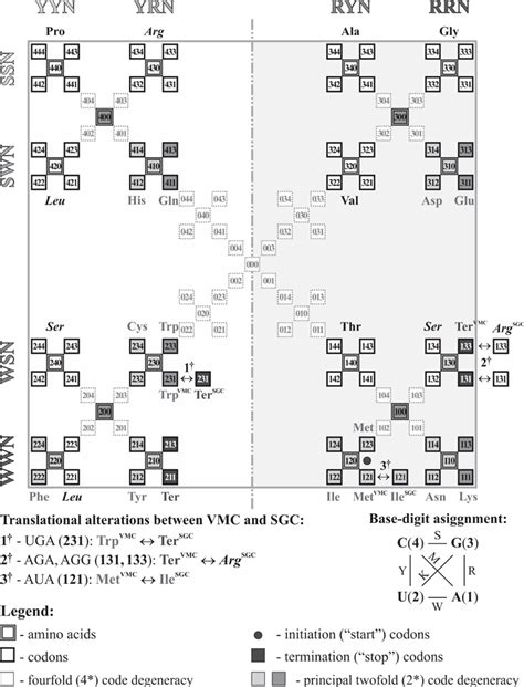 euclidean distance representation of the p adic model of vmc and sgc