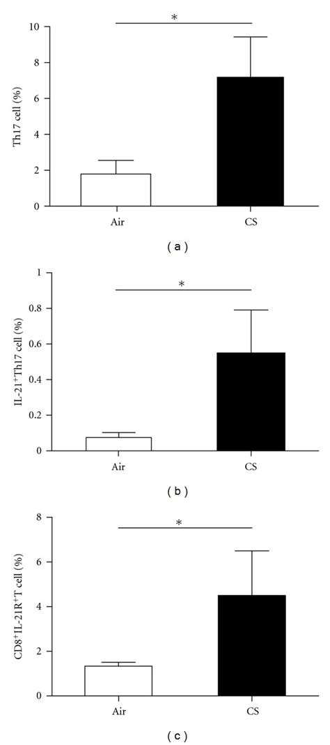 Th17 Cell Enhances Cd8 T Cell Cytotoxicity Via Il 21 Production In