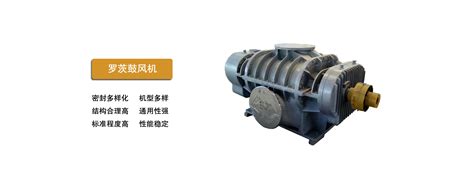 罗茨鼓风机 罗茨蒸汽压缩机 罗茨真空泵 济南源鼓机械有限公司