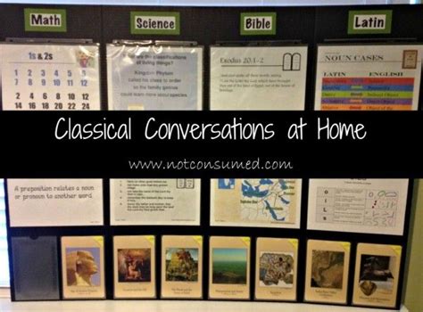Classical Conversations Latin Artofit