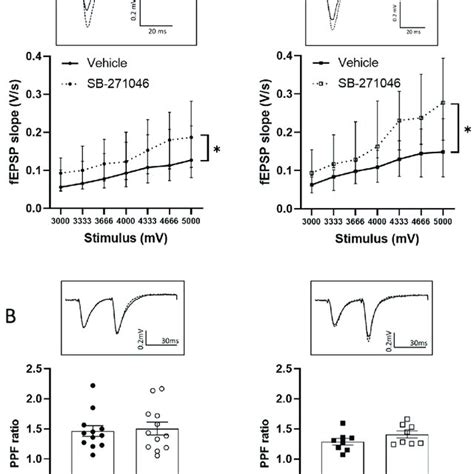 Sb Increases Basal Transmission Without Affecting Mechanisms