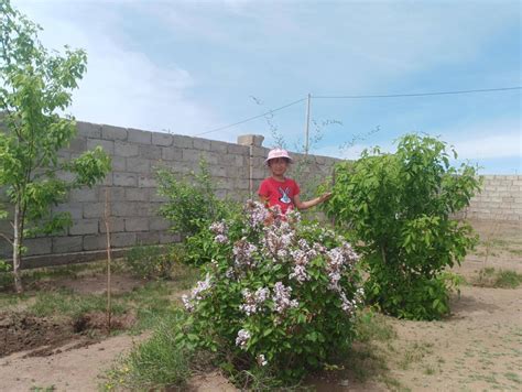 Уулбаян сумын Уулбаян сумын Засаг даргын Тамгын газар