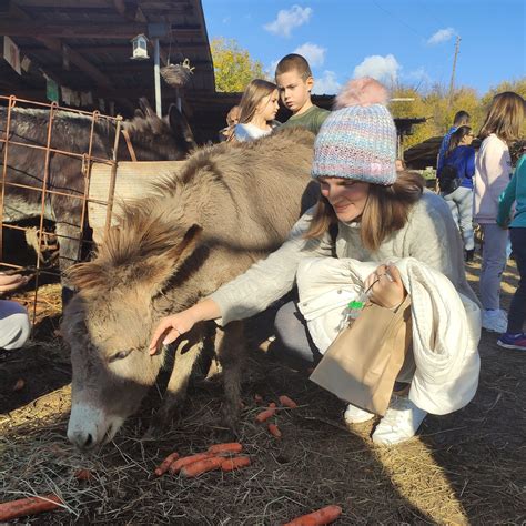 Andrea Jelić Medium