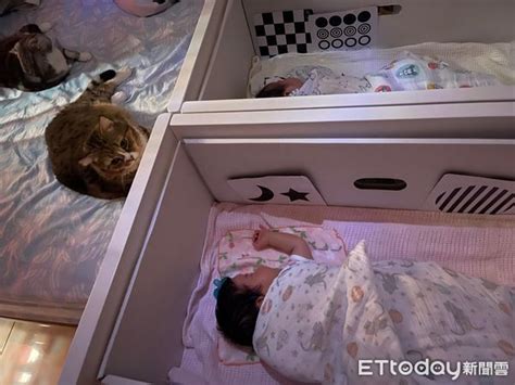 寶寶剛出生「虎斑貓保母」立刻上崗！ 日夜溫柔看護感動媽 Ettoday寵物雲 Ettoday新聞雲