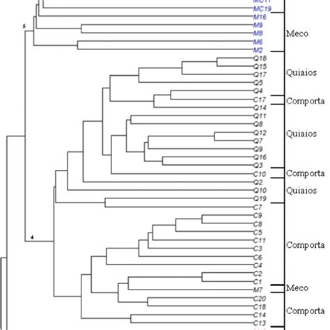Dendrogram Obtained With Upgma Method Using The Nei And Li Coefficient