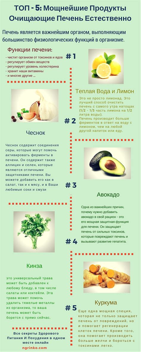Продукты полезные для печени и поджелудочной железы