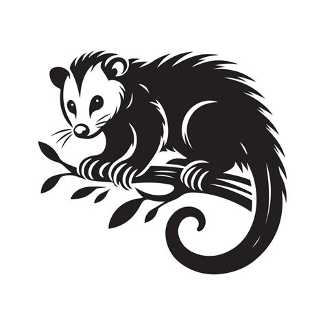 Possum Silhouette Vectors Illustration 48380395 Vector Art At Vecteezy