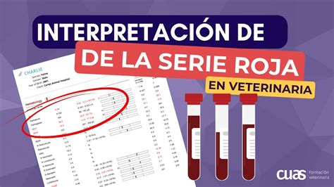 Interpretación del Hemograma de una analítica de sangre en veterinaria