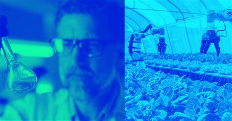 Galaxy Genomics Enzyme Engineering Breakthroughs Catalyzing Food Industry Innovations With