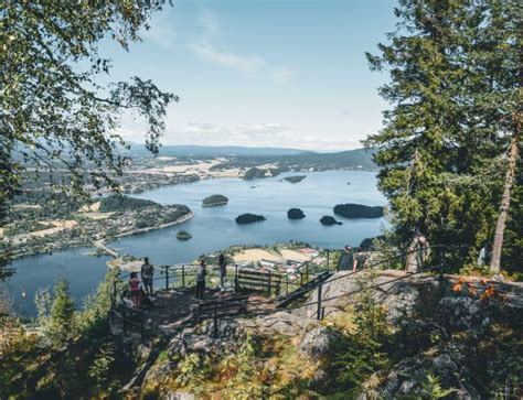 Renifery w Norwegii gdzie je spotkać Kierunek Norwegia