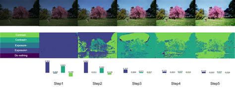 Visualization Of Image Enhancement Processes Download Scientific Diagram