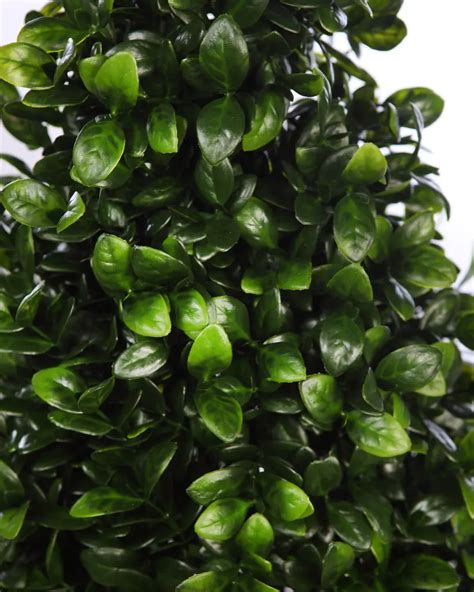 Planta Artificial Boj En Cono 58cm Tienda Allgrass