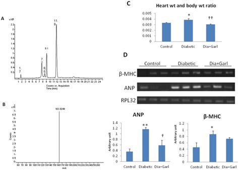 A Lc Esi Ms Total Ion Chromatogram Tic Of Garlic Extract B Download Scientific Diagram