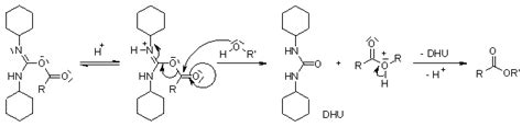 Steglich Esterification
