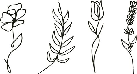 Premium Vector Flowers Line Art Illustration