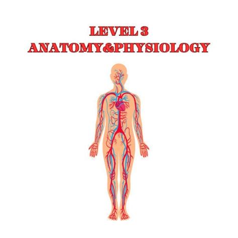 Anatomy Physiology Level Editable Training Manual Etsy
