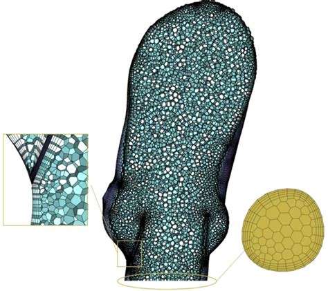 Schematic Diagram Of Fluid Mesh Download Scientific Diagram