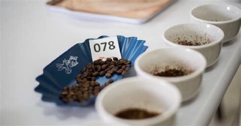 Defectos en el Tueste de Café Cómo Identificarlos en la Taza Perfect
