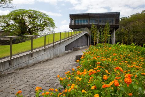 Bloque6foto1 Smithsonian Tropical Research Institute