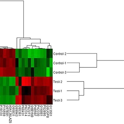 Hierarchical Cluster Of Proteins Differentially Expressed Between