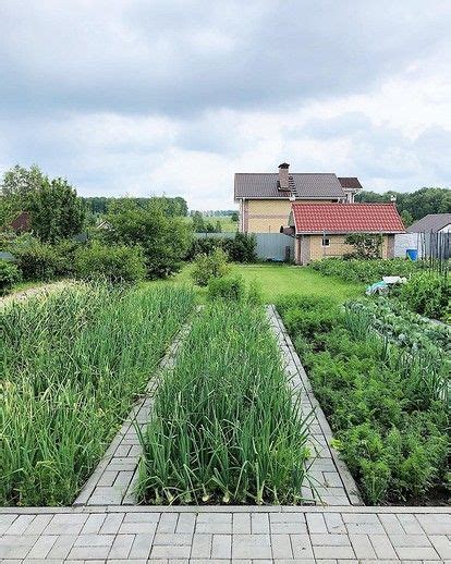 Красивые грядки своими руками: 72 идеи оформления с фото | ivd.ru ...