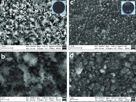 SEM images of the surface of Fe а b and Fe Fe 3 O 4 c d samples Download Scientific