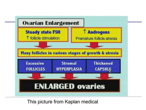 Polycystic Ovarian Syndromepcos Ppt