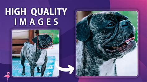 Artstation 400 Pug Image Reference Pack Vol 1 Resources